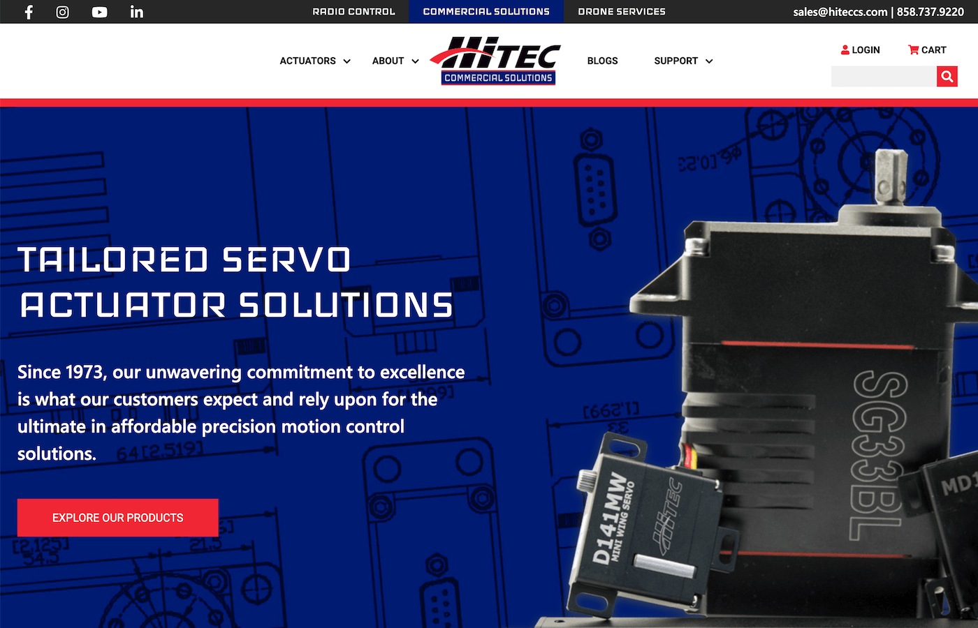 Hilo Web Design | Dog and Rooster